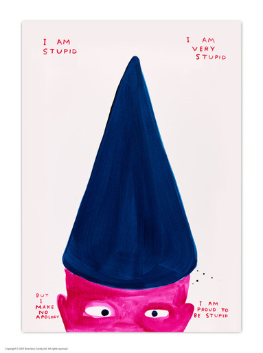 Funny I Am Stupid Postcard By David Shrigley | brainboxcandy.com