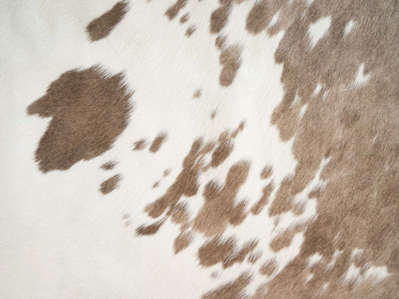 PALOMINO LEATHER BOUND COWHIDE 80" x 88" - REVIVAL HOME