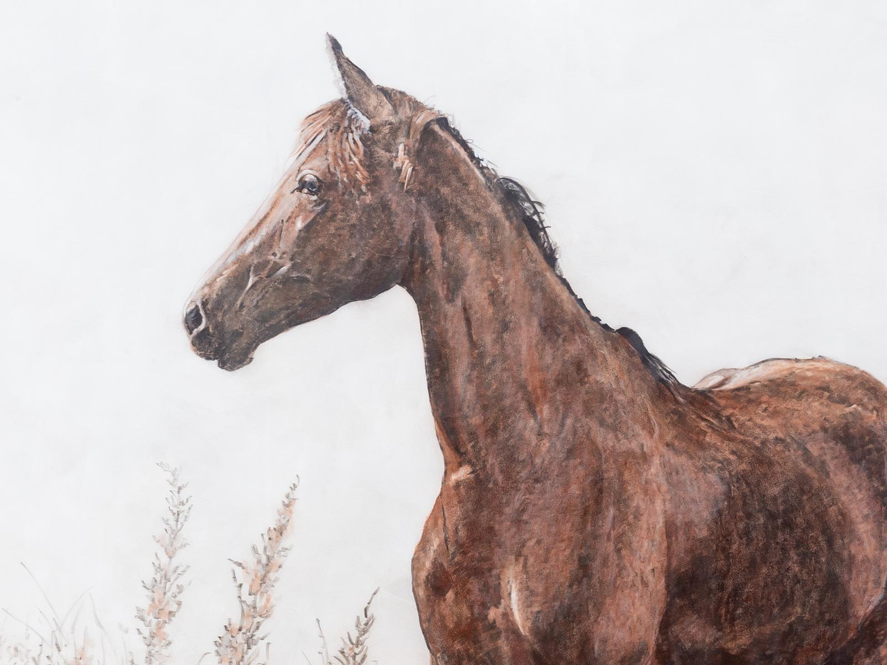YOUNG HORSE IN A FIELD by Kitty Williams - REVIVAL HOME