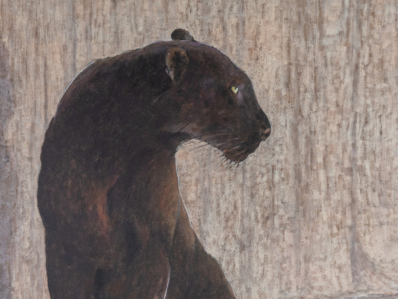 THE PANTHER by Kitty Williams - REVIVAL HOME