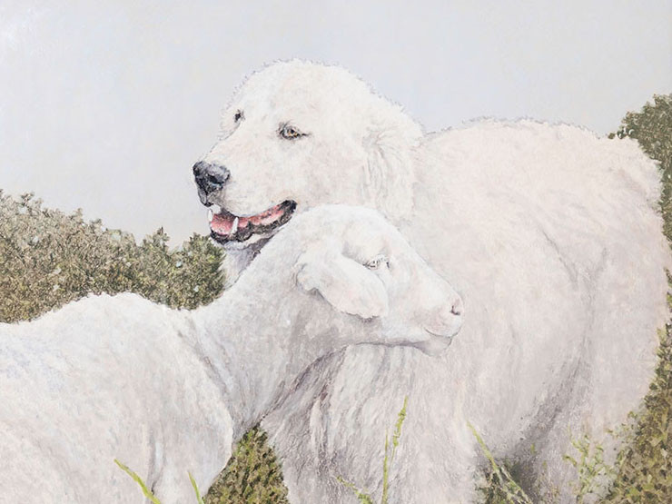 SHEEP DOG by Kitty Williams - REVIVAL HOME
