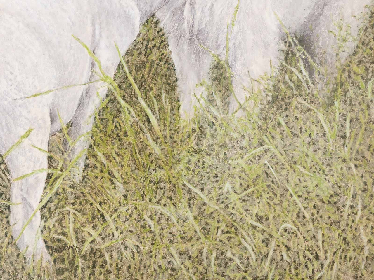 SHEEP DOG by Kitty Williams - REVIVAL HOME