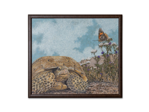 THE TORTOISE by Kitty Williams - REVIVAL HOME