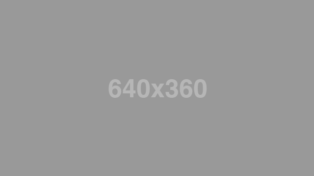 Layout and Design Direction