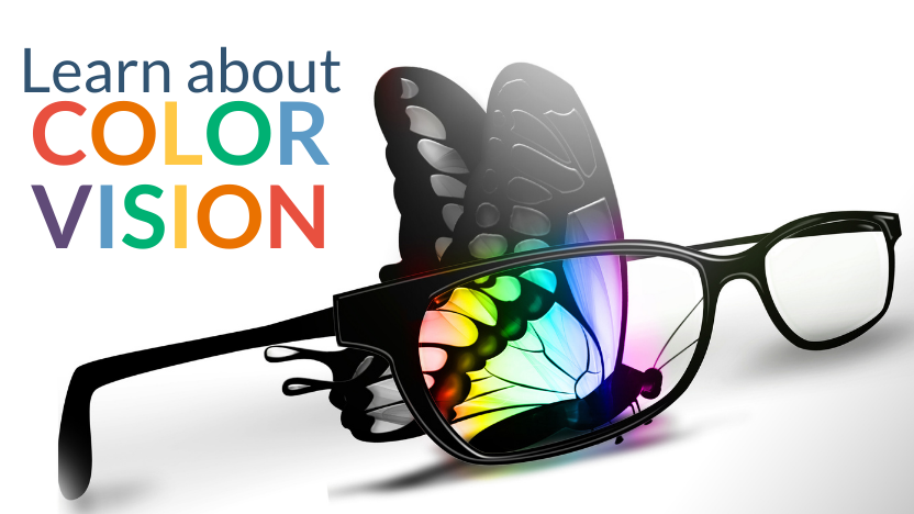 Color Vision: What Is It & Why Does It Matter? - EyePromise