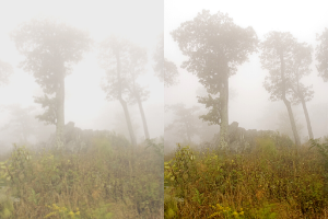 Contrast Sensitivity and It’s Importance for Vision - EyePromise