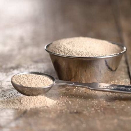 yeast powder
