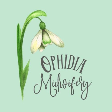 Ophidia Midwifery, Jess Couper, MSN, CNM, custom birth kit | In His ...