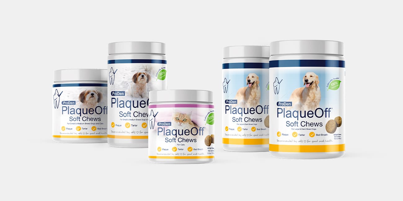 Introducing ProDen PlaqueOff® Dental Soft Chews - Swedencare IE