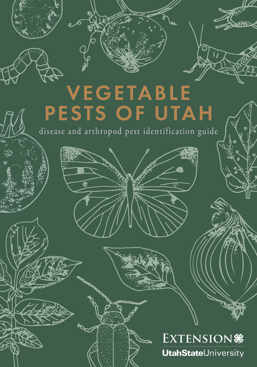 Vegetable Pests of Utah: diseases and arthropod pest identification ...