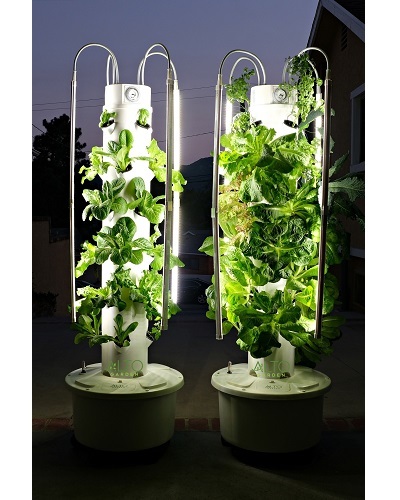 Hydroponic Tower Garden & Vegetable Tower | ALTO Garden