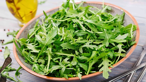 How to Grow Hydroponic Arugula - ALTO Garden