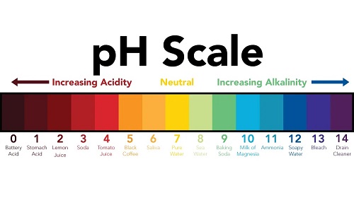 Importance of Water pH for Plants - ALTO Garden