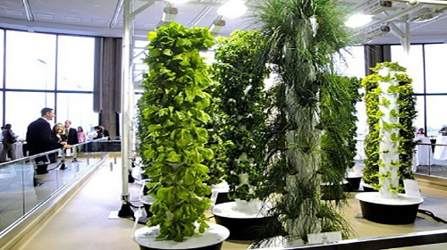 Discover the Benefits of Vertical Farming at Home