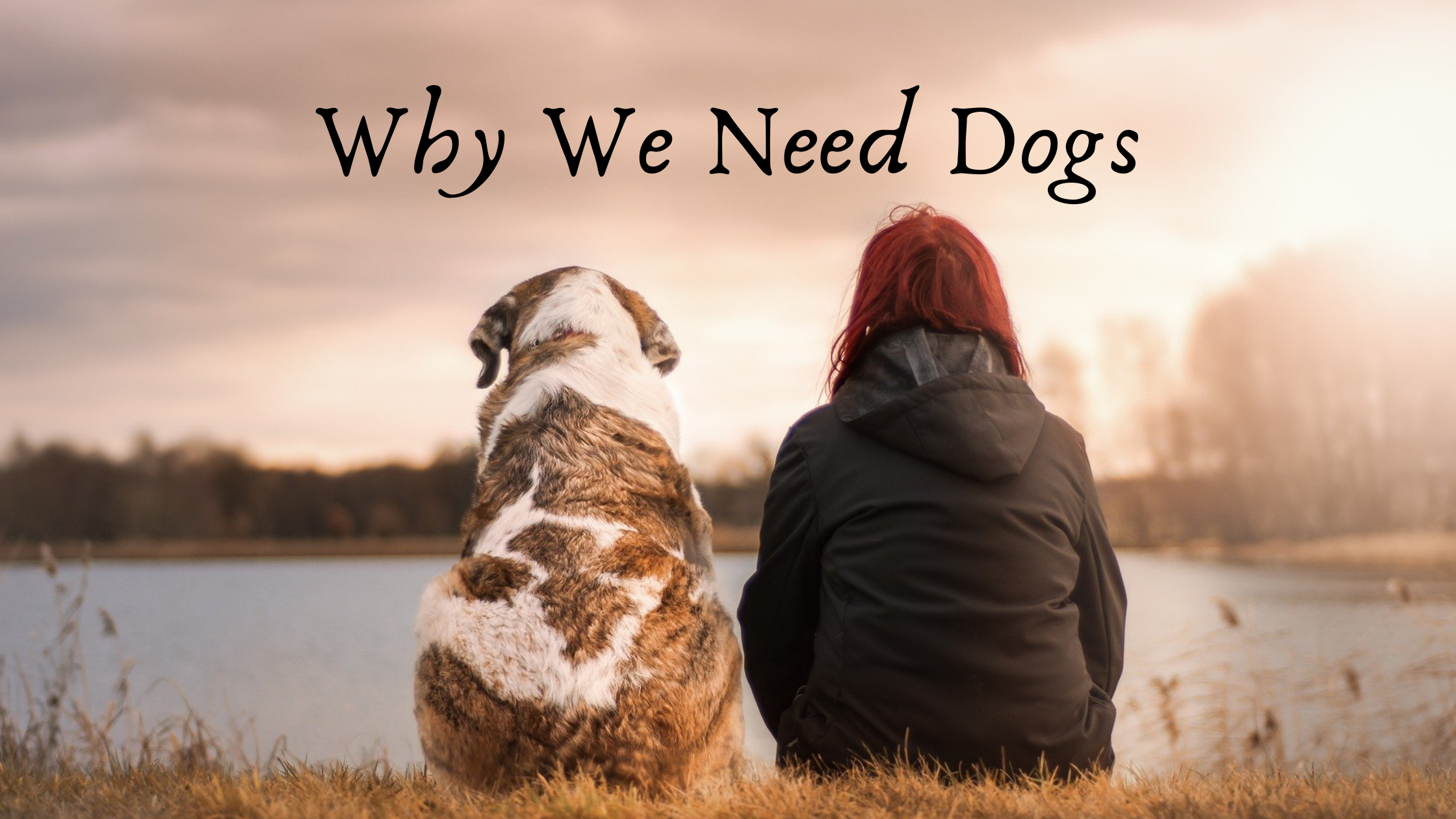 Why We Need Dogs - Silver Lucy London