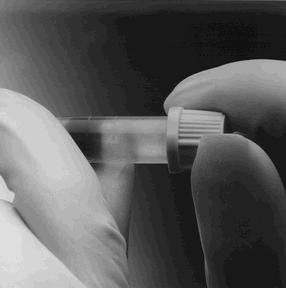 Bd 365974 Microtainer Blood Collection Tubes