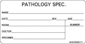 Timemed Medvision Labels Mv7Sw6717