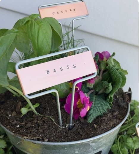 How to Keep an Organized Garden (And Why It Matters ...