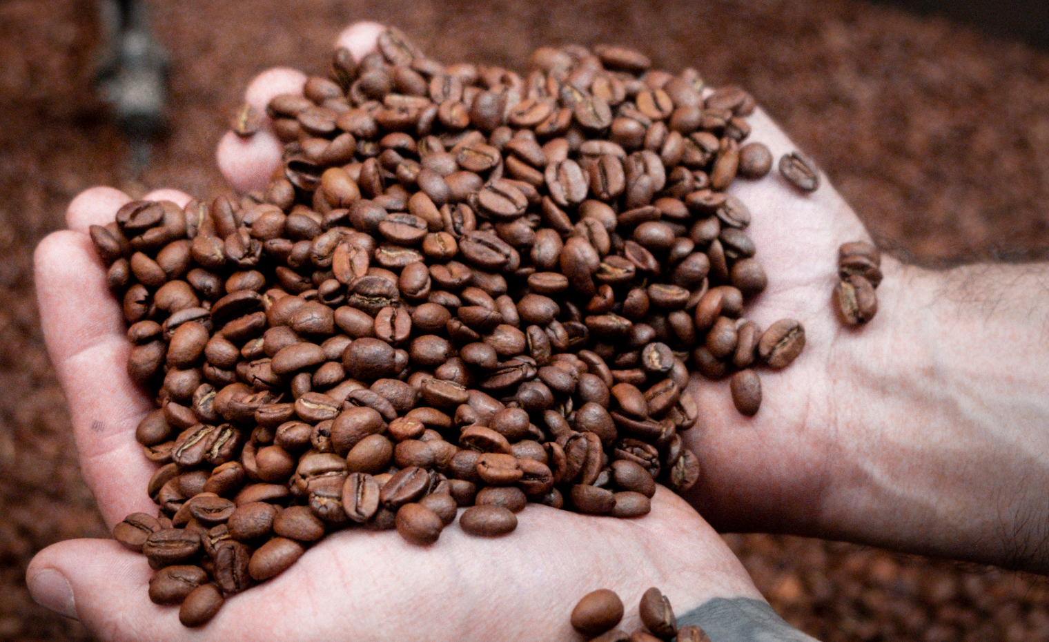 10 proven health benefits of drinking coffee - Extract Coffee Roasters