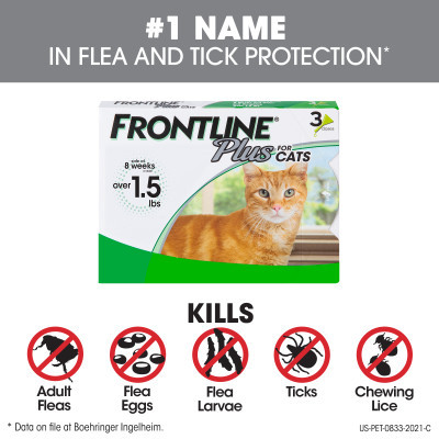 Frontline Plus Flea And Tick Treatment For Cats Over