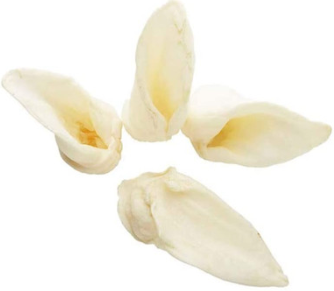 Red Barn Lamb Ear - Chow Hound Pet Supplies