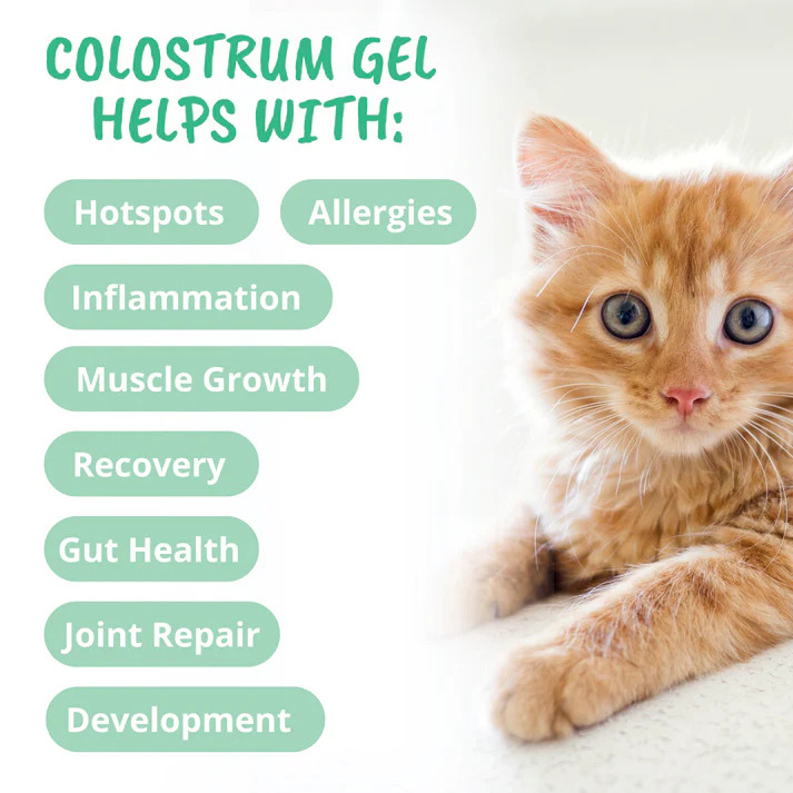 Under The Weather Vital Colostrum Gel for Cats & Kittens 3.5 oz - Chow ...