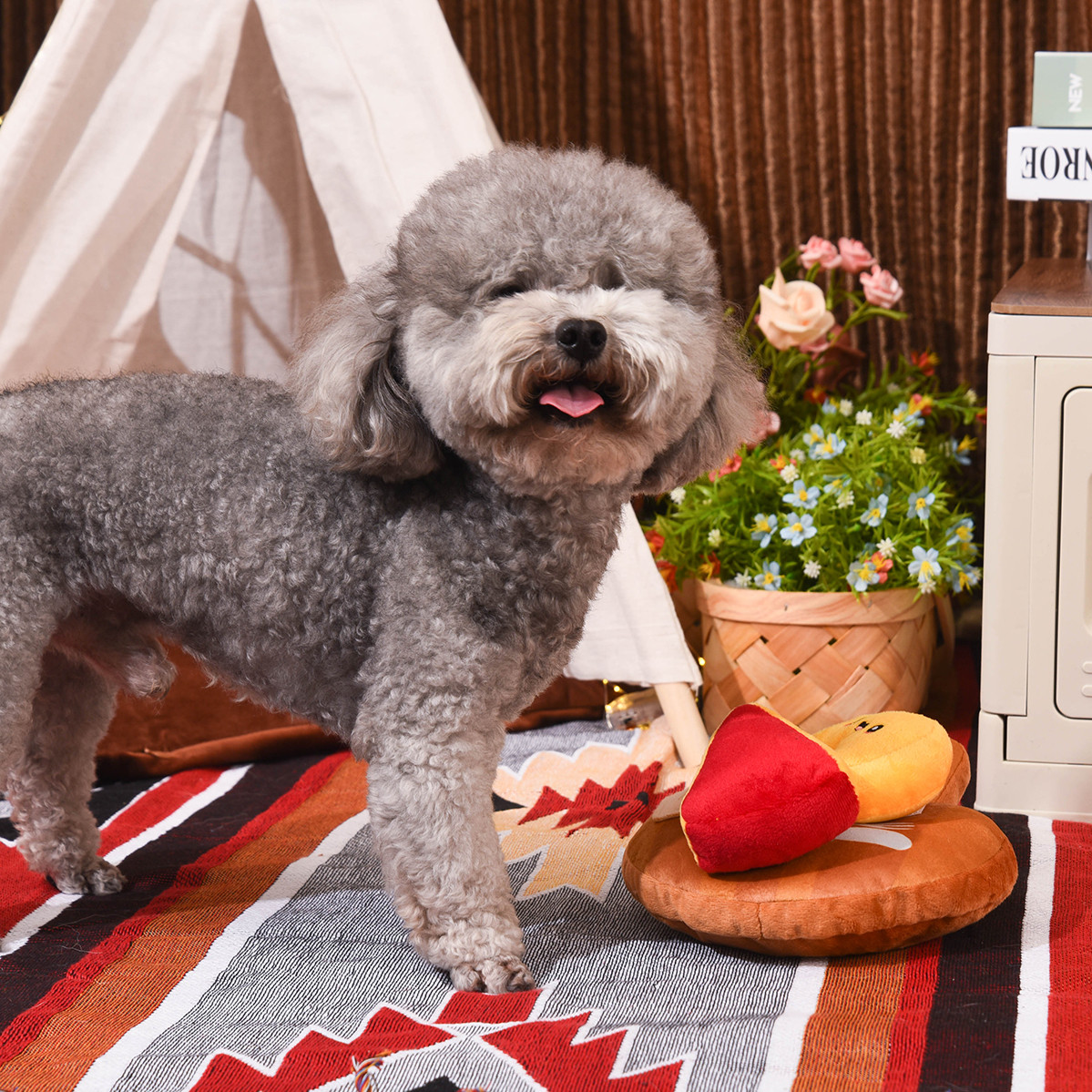 Hugsmart Picnic Time- Cheese Board Dog Toy 11 in - Chow Hound Pet Supplies