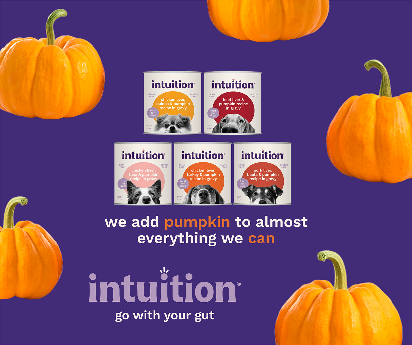 NEW: Intuition Wet Food For Dogs - Chow Hound Pet Supplies