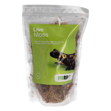 ProRep Live Moss Large Bag 3 Litres UK