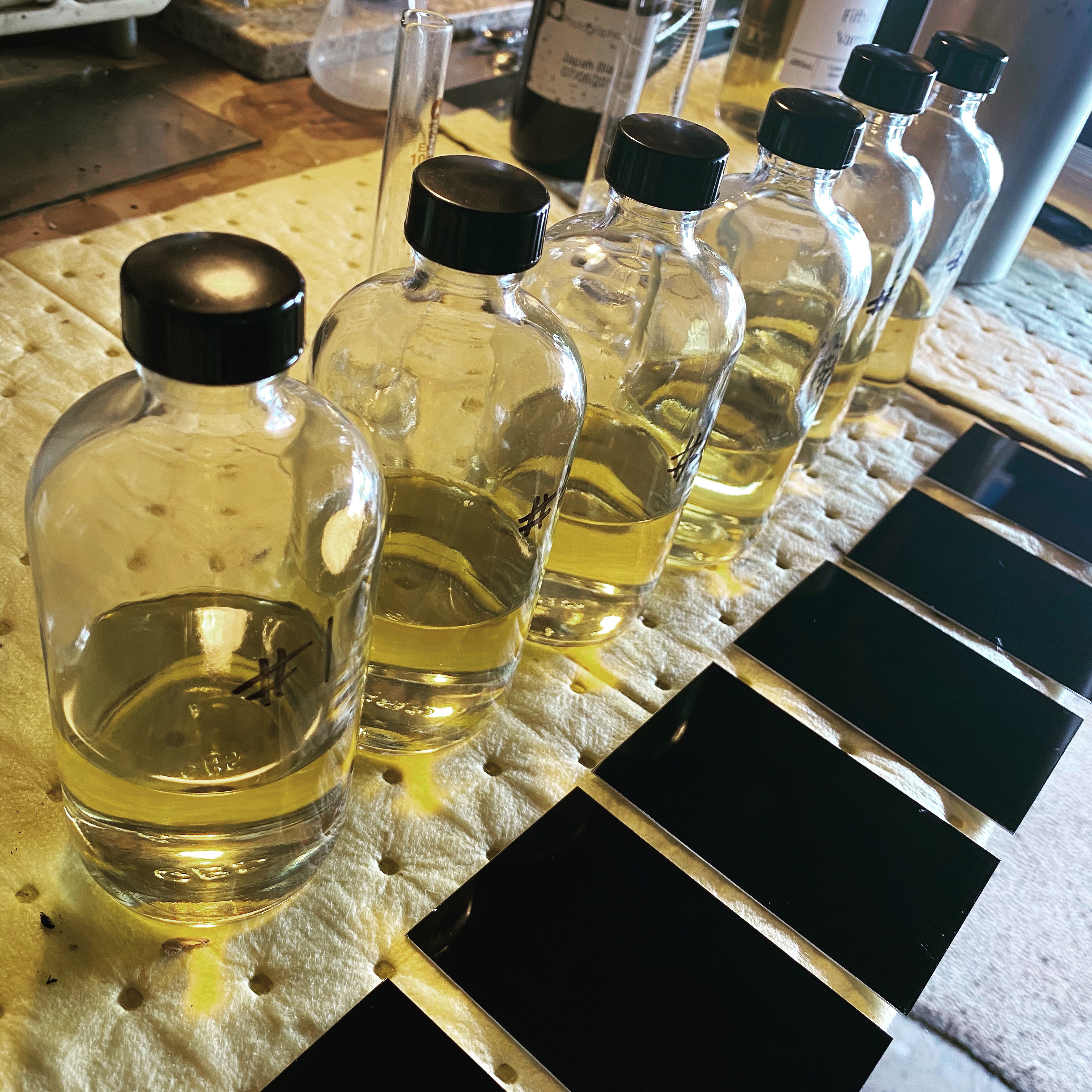 Air Dried Wet Plate Collodion Varnish Development - UV Photographics, LLC