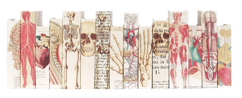 E Lawrence 15 Vol Anatomy Collection Set