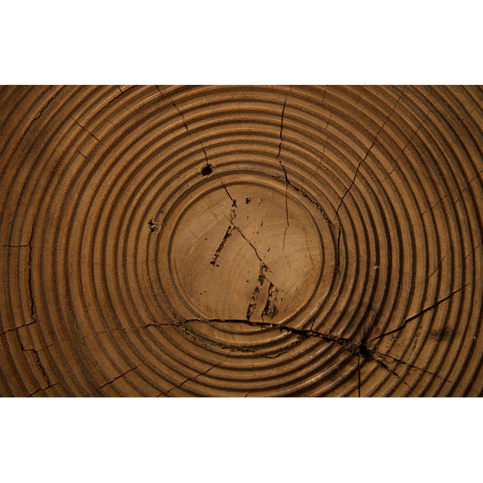 Phillips Collection Peek a Boo Side Table, Chamcha Wood, Natural