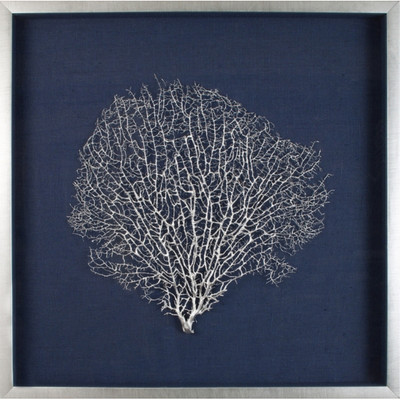 Mirror Home Large Sea Fan