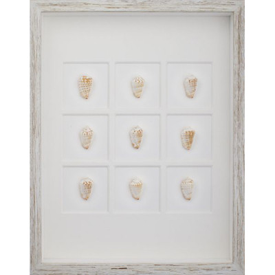 Mirror Home Strawberry Conch Shells - #3