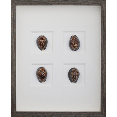 Mirror Home Morning Cowrie Shells - #1