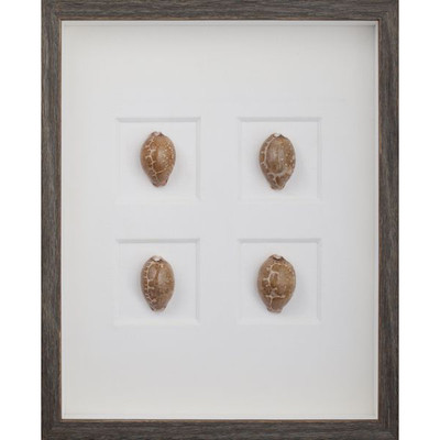 Mirror Home Map Cowrie Shells - #1