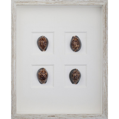 Mirror Home Morning Cowrie Shells - #2