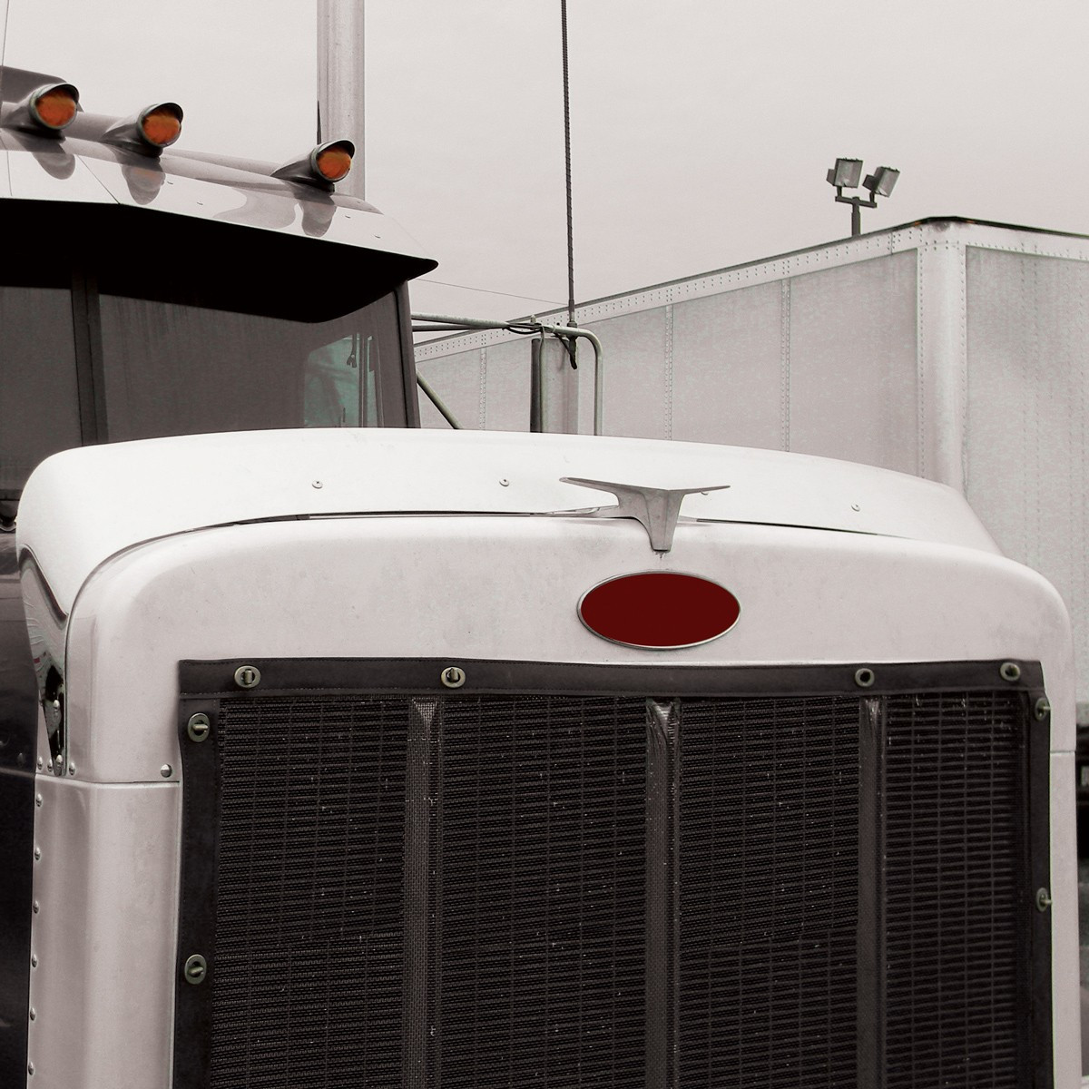 Order Semi-Truck Bug Deflectors & Shields | Bug Deflectors