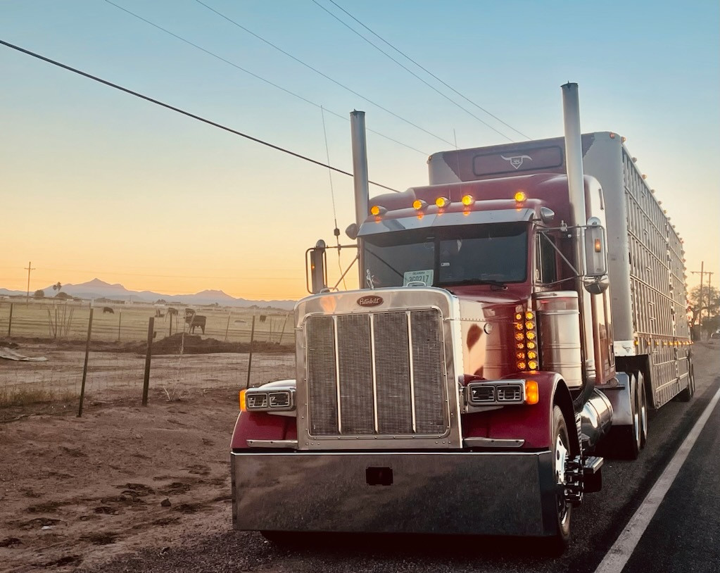 Chrome Plated 10 Gauge Carbon Steel Bumper - Miter End (379)