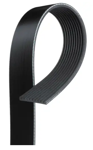 Serpentine Fan Belt - 10 Rib