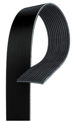 12 Groove Serpentine Belt - X15