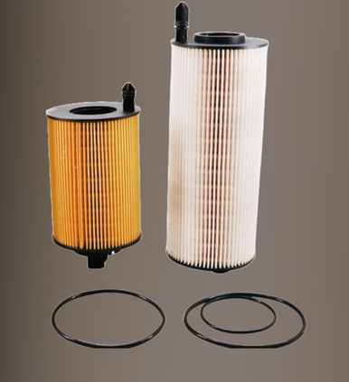 Fuel Filter Kit - MX 2272926PE, FS20208