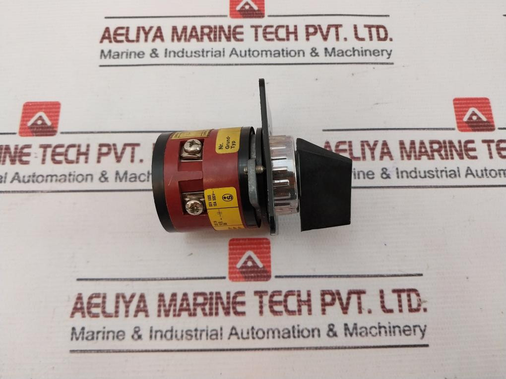 Telemecanique Bvn 10 Cam Switch
