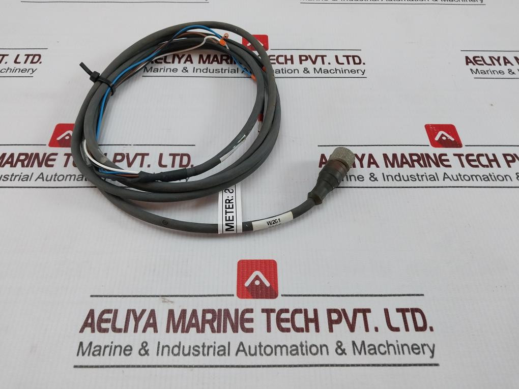 Belden Rkt 4-288/4 P1 Standard Sensor/Actuator Single-ended Cordset Meter 2