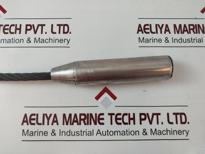 Eip 555 Capacitance Level Switch 960 Mm