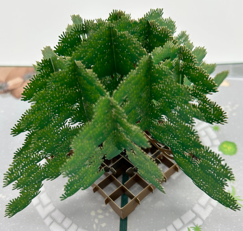 Japanese Bonsai Tree - Kori Ann Designs