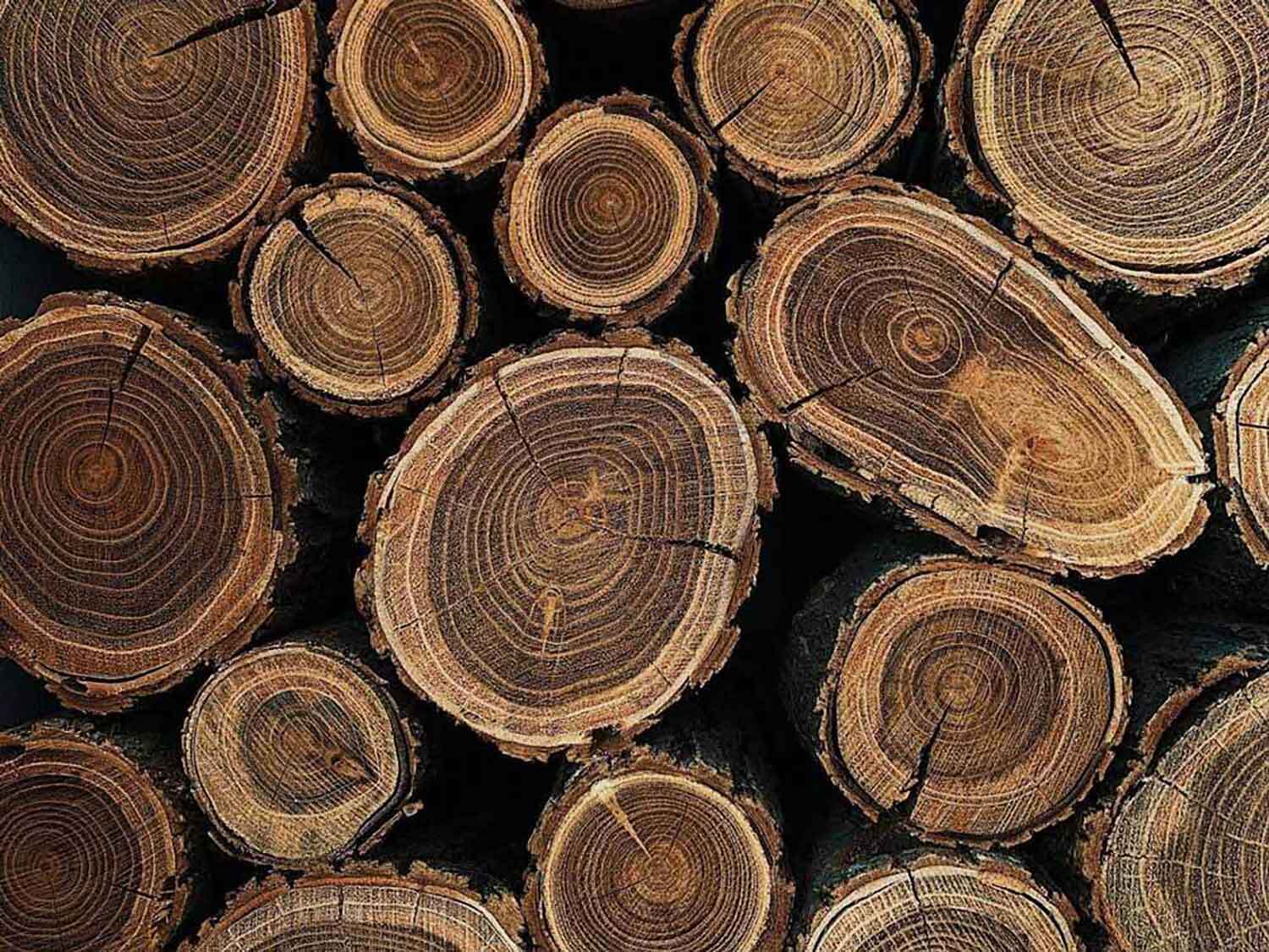 KLAFS Luxury Saunas | KLAFS USA