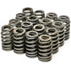 TSP Texas Speed .550" LS Beehive Valve Springs LS6 4.8 5.3 6.0 6.2 ...