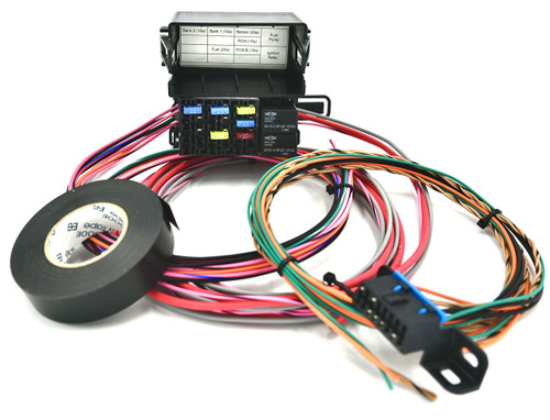 LS Swap Wire Harness Fuse Block Stand alone Wiring Harness OBD2 Port Connector - Michigan ...