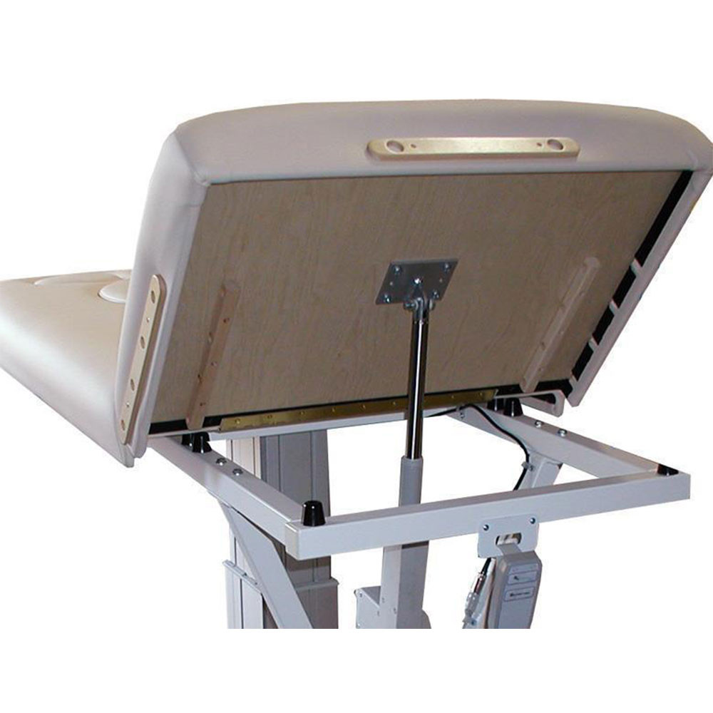 Elegance Therapeutic Table with Adjustable Back for Rehabilitation